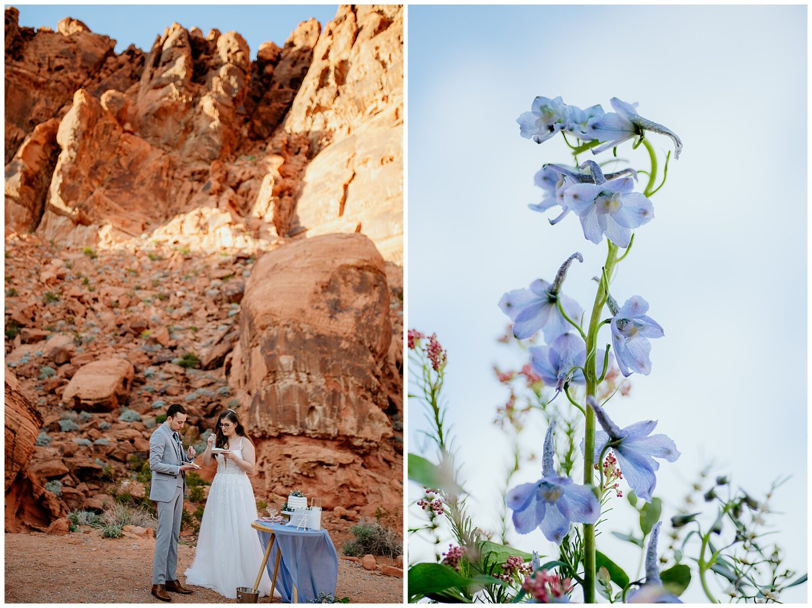 England to Las Vegas Elopement Wedding | Lizzie and Joe | Cactus & Lace ...